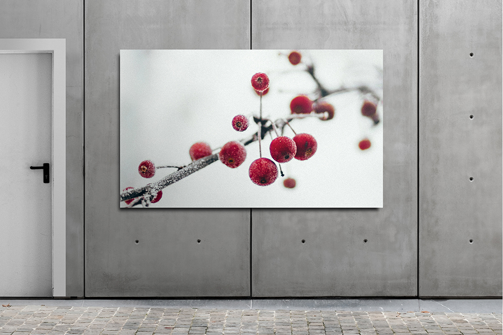 Picto Online - Dibond Print